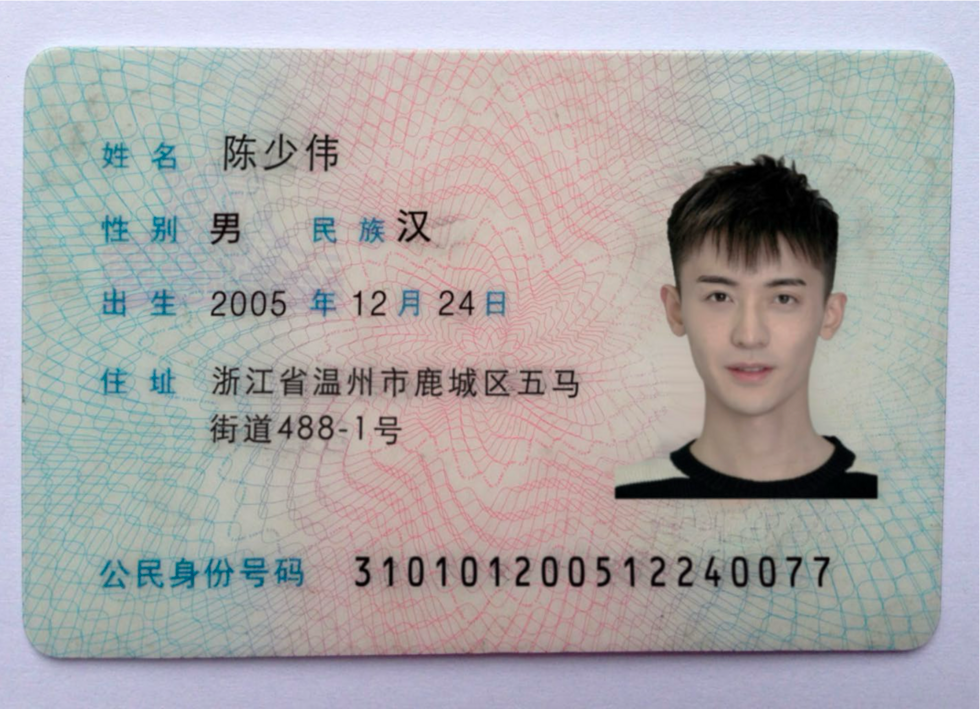 IP Fraud Chronicles #1: Identity Theft Case Exposes Absurd Tactics ...