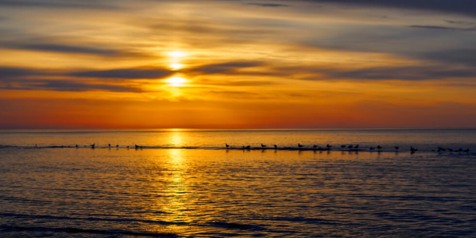 Estate Planning, Agreements & Business Planning | Law Office of James ...