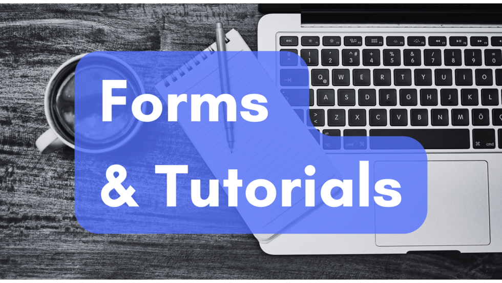 DIY LEGAL | Family Matters Law Group