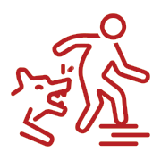 Puntillo Camilli and Hughes, S.C. - Kenosha Personal Injury Lawyer ...